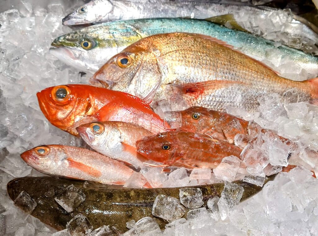 [Traditional air-shipped fresh fish vs. Tsushima Suisan's high-quality ...